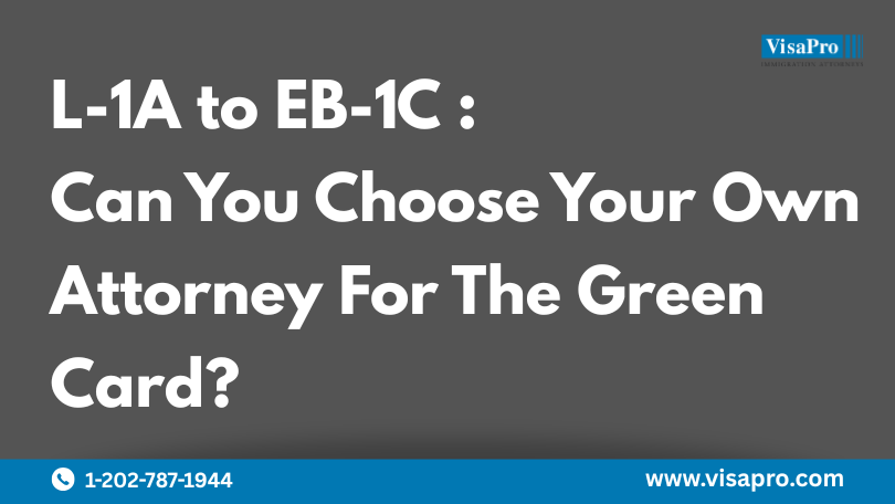 Form DS-234 Special Immigrant Visa Biodata: Free Download